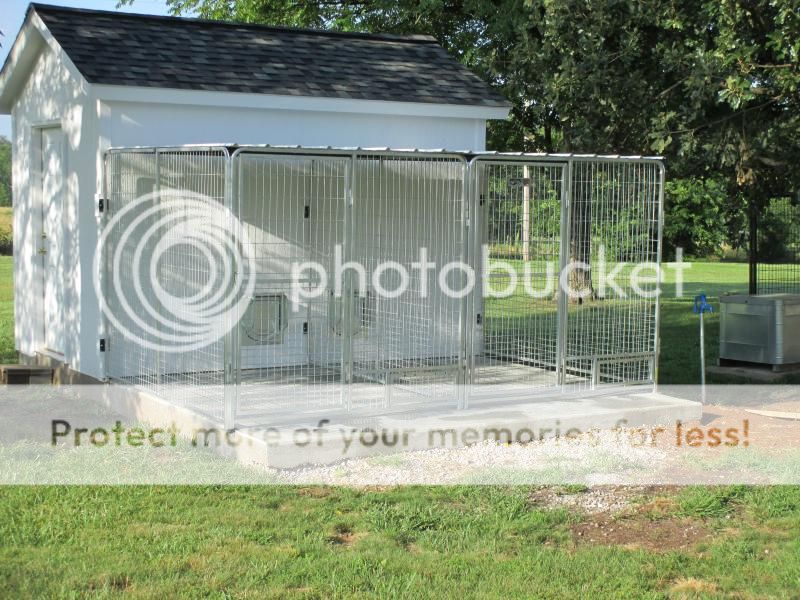 Bird Dog Condo | Shotgun Forum