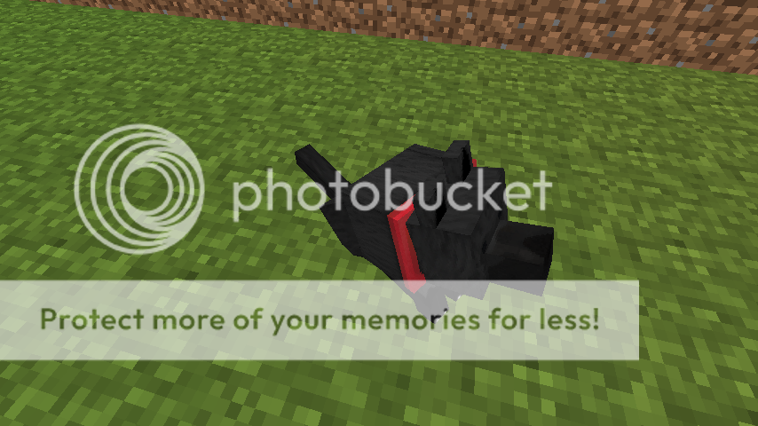 Minecraft HD Furry Black Wolf/Dog Skin - Resource Packs - Mapping and ...