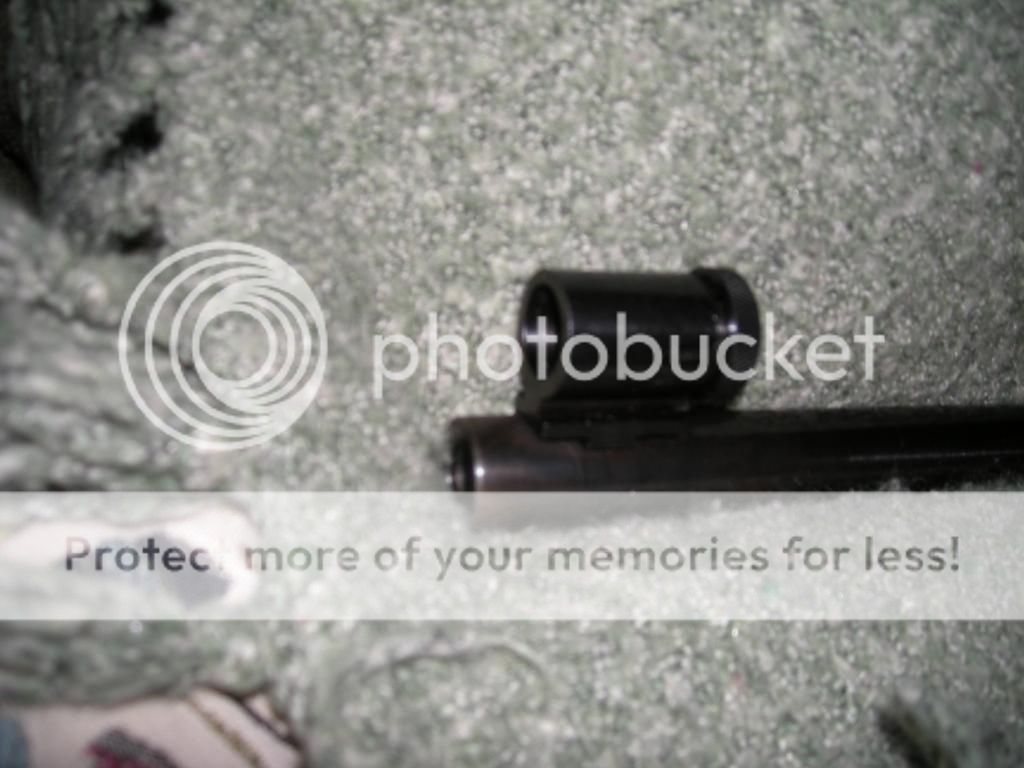 513T front globe sight? | Rimfire Central Firearm Forum