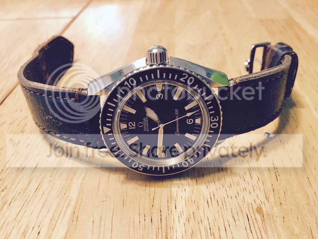 TimeZone : Omega » my "new" Watchco SM300