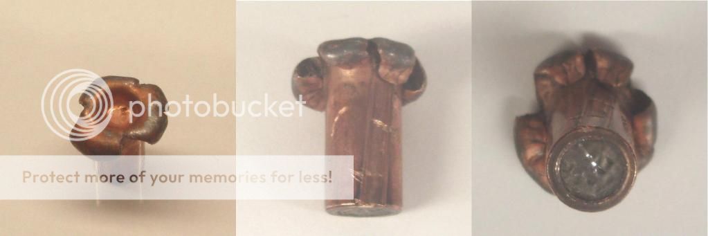 CT Partition Gold - 24hourcampfire